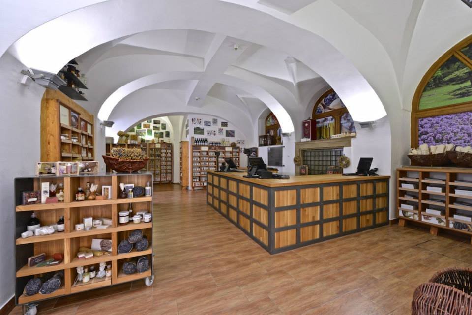 Botanicus | Avantgarde Prague