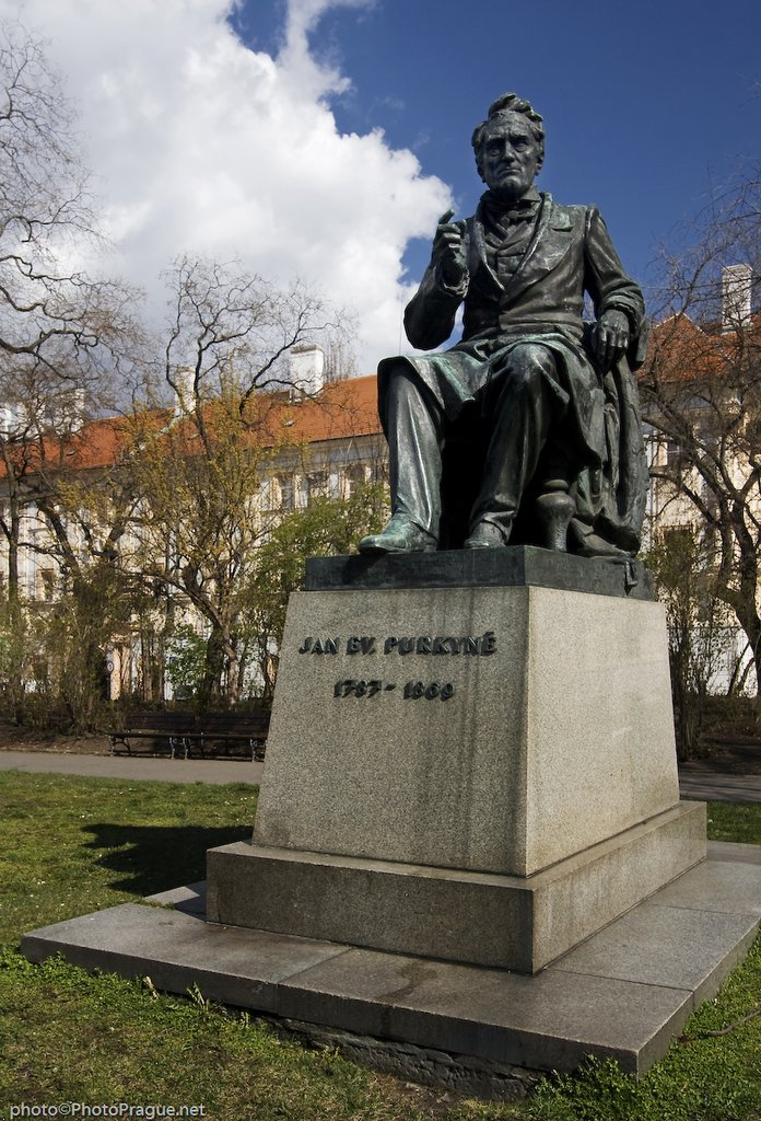 Charles Square | Avantgarde Prague
