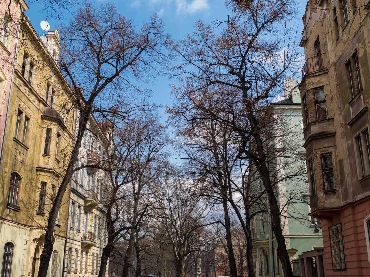 Karlín | Avantgarde Prague