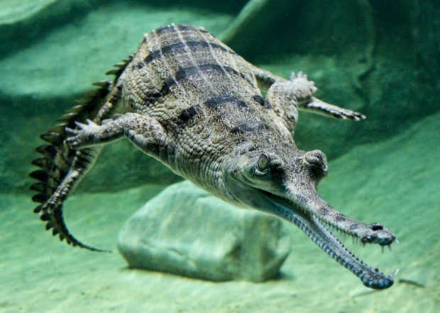 Prague Zoo | Avantgarde Prague